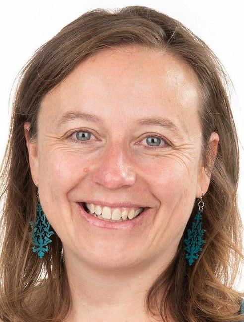 Percée dans la compréhension du développement des lymphocytes T ...