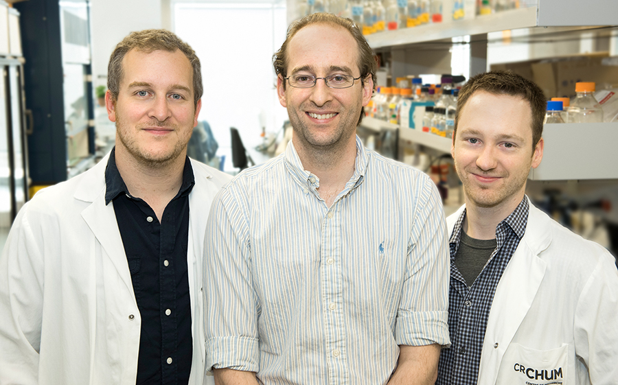 Prestigieux prix internationaux pour Maxime Veillette et Jonathan ...